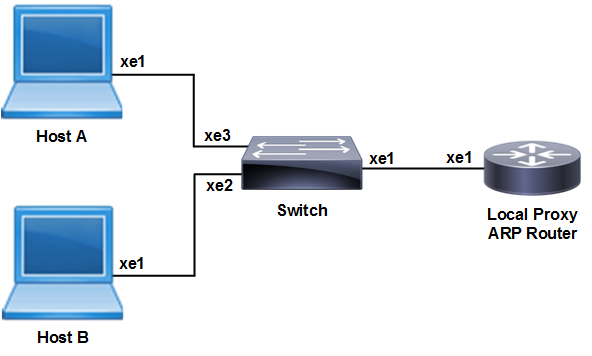 Local Proxy ARP Overview